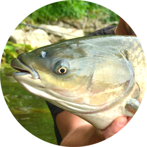 Rybárske potreby | Parys.sk