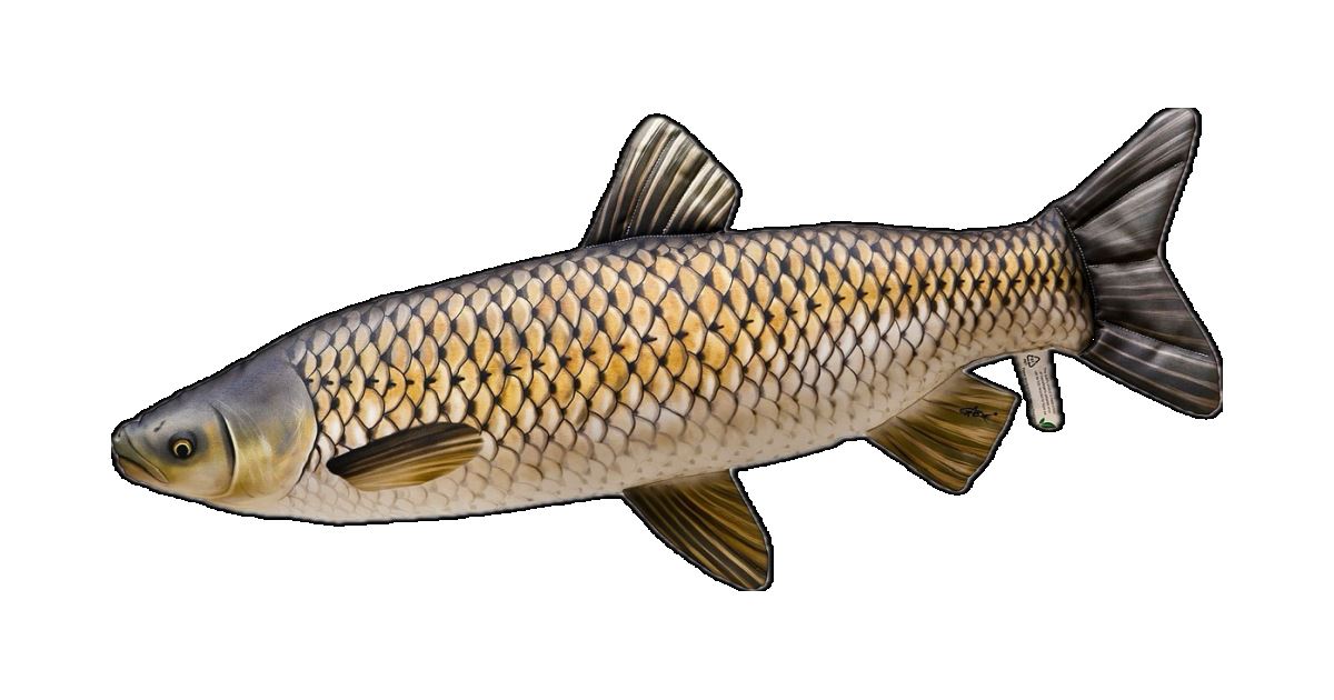 Gaby Plyšová Ryba Amur Mini 40 cm