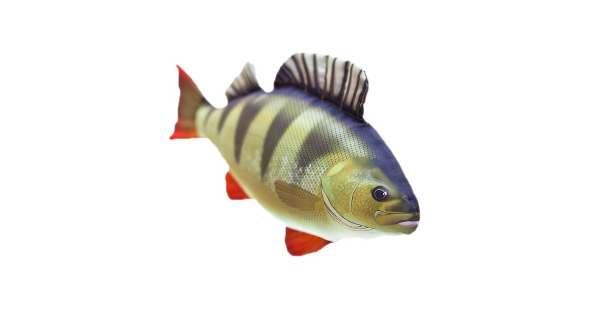 Gaby Plyšová ryba Ostriež 50 cm